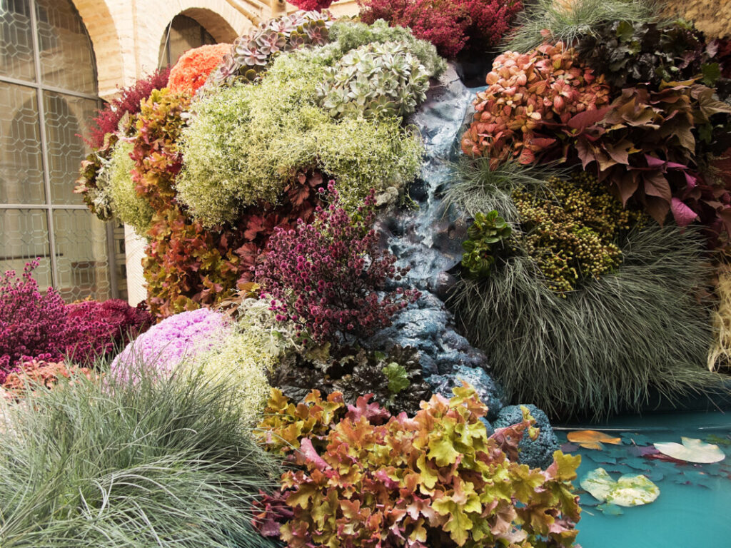 RHS Chelsea Flower Show - in water flowers