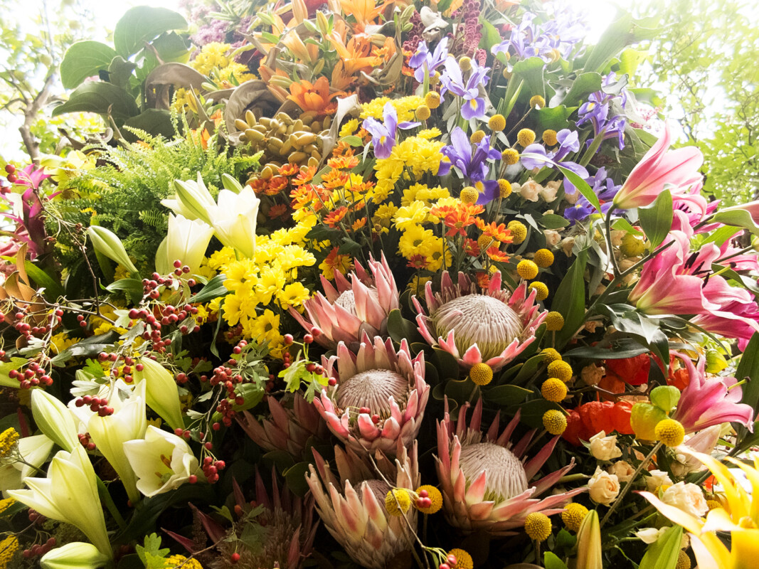 Flora International Flower Festival - in water flowers